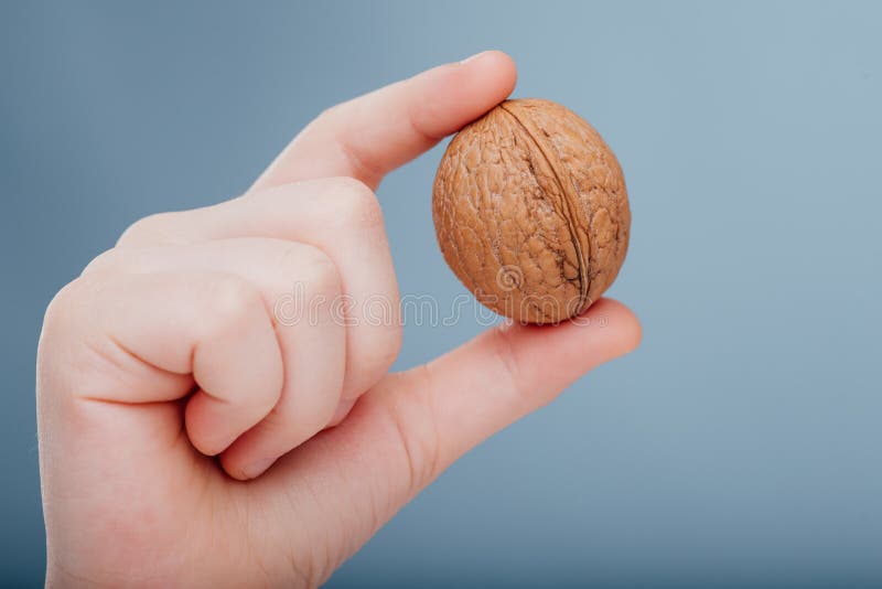 30,338 Close Up Walnut Stock Photos - Free & Royalty-Free Stock Photos ...