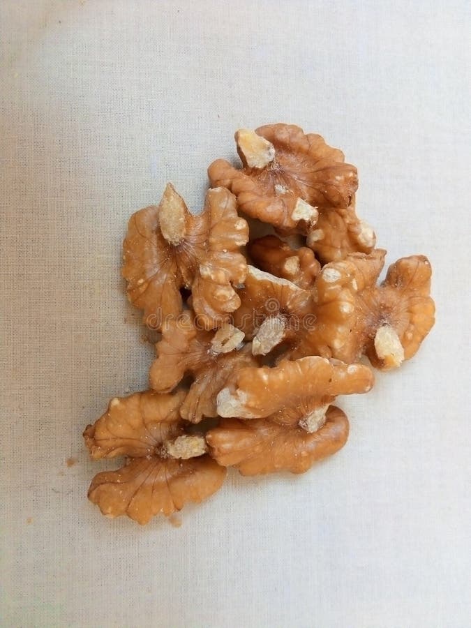 Close Up Of Walnut With Simple Background Stock Image - Image of ...