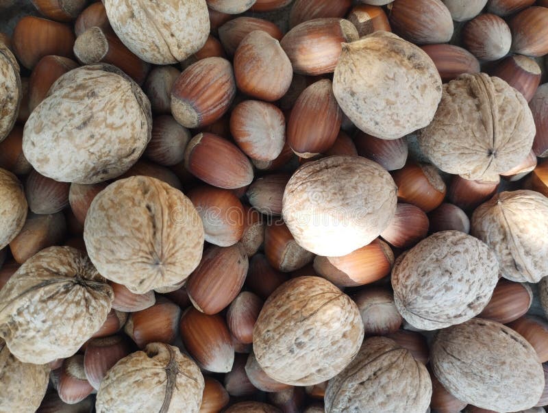 Close-up of Walnuts and Hazelnuts Stock Image - Image of macro, surface ...