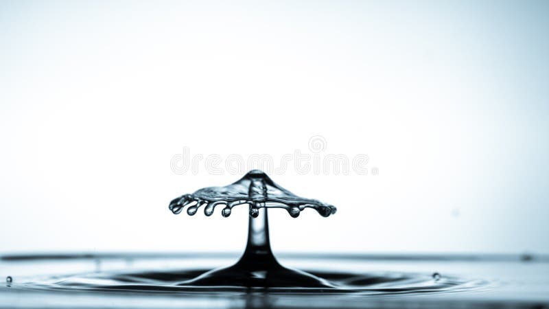 Close-up of a Water Drop Falling on Water Surface Stock Photo - Image ...