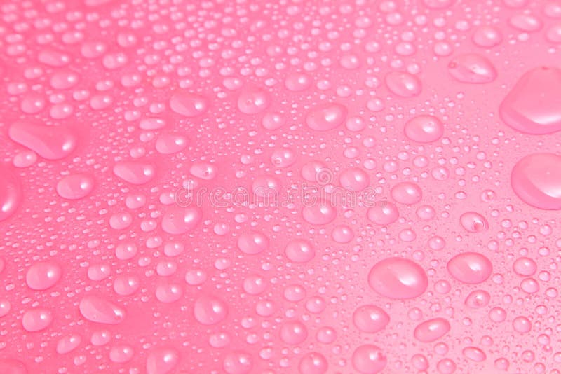 Close Up Water Drops on Pink Background Stock Image - Image of clear ...