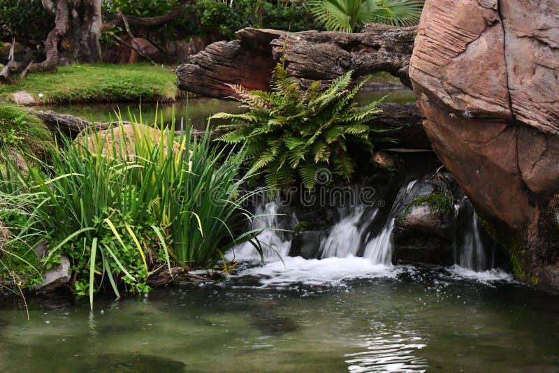 Close Up of Water Flowing in a Stream Stock Image - Image of nature ...