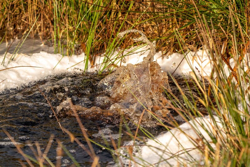 Close-up of a Water Source that Blows Up Bubbling Water. Spring, Snow ... Close-up of a Water Source that Blows Up Bubbling Water. Spring, Snow ...