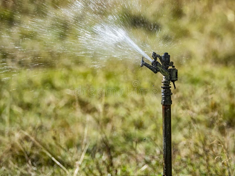 Water sprinkle stock photo. Image of lawn, environment - 10916612