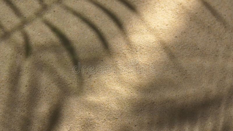 Close-up Water Surface Ripples and Splash, Palm Tree Leaf Shadow on ...
