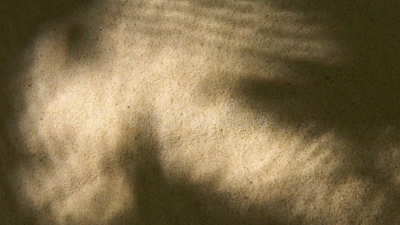 Close-up Water Surface Ripples and Splash, Palm Tree Leaf Shadow on ...