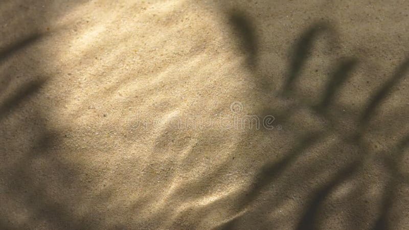 Close-up Water Surface Ripples and Splash, Palm Tree Leaf Shadow on ...
