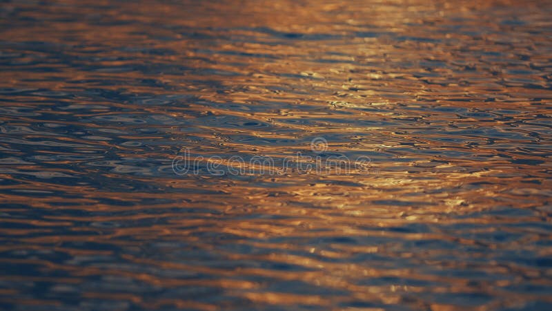 Water Surface Texture. Shiny Water with Sun Reflections. Rippled Water ...