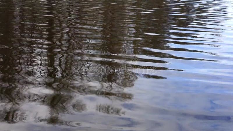Close Up of Water Texture in River Stock Footage - Video of shiny, wave ...