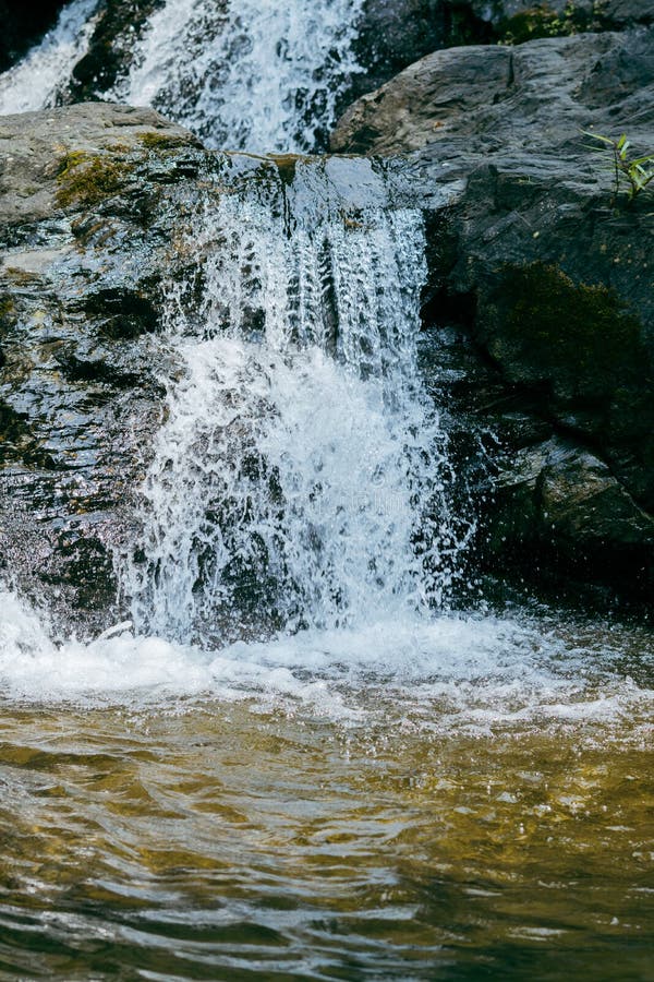 Close Up of a Waterfall in Jungle Stock Photo - Image of stone ...