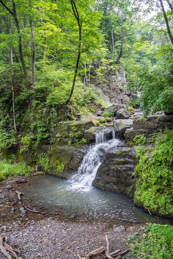 Close-up of a Waterfall in the Middle of a Forest. Waterfall Cascade on ...