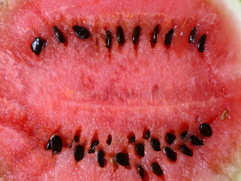 1,194 Inside Watermelon Stock Photos - Free & Royalty-Free Stock Photos ...