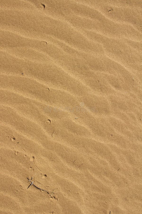 Close Up of Wave Patterns on the Sand Stock Photo - Image of coastline ...