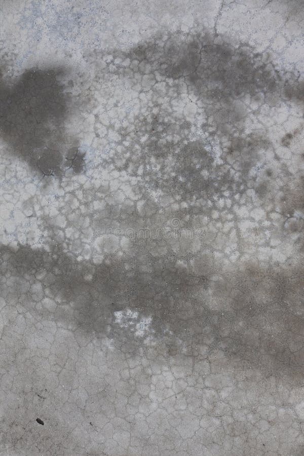 Close-up of a Weathered and Cracked Concrete Surface Stock Photo ...