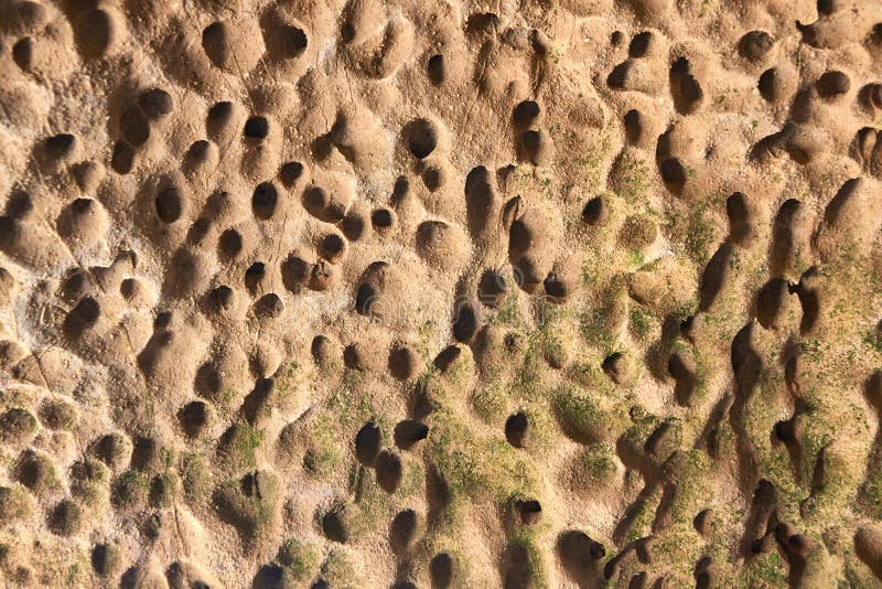 Close Up of Weathered Rock Surface with Erosion Patterns and Mossy ...