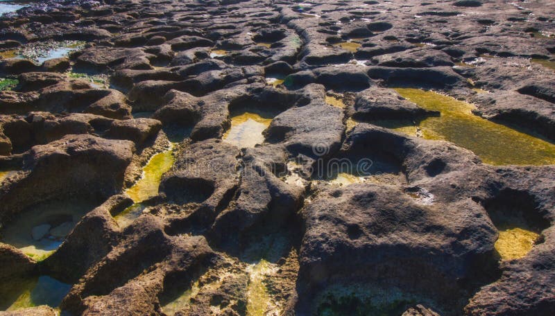 Close-up of Weathered Rocky Beach Using a Wide-angle Lens Stock Image ...