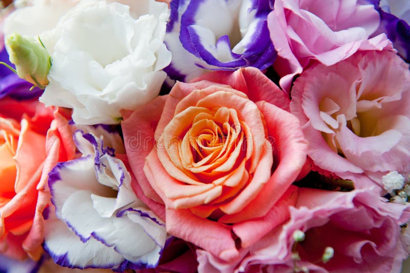 Close-up Wedding Bouquet of Roses of Different Colors Stock Image ...