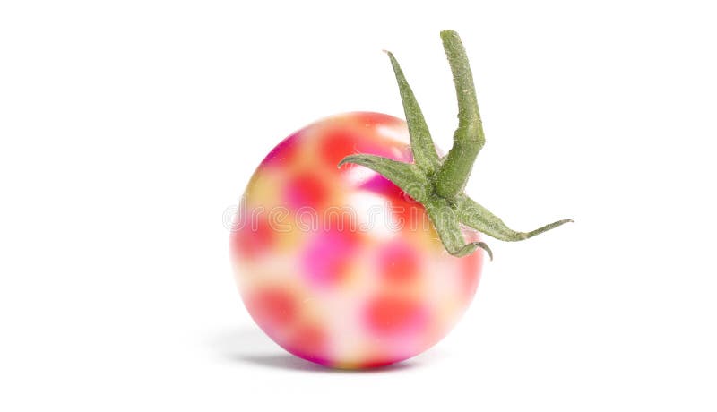 Weird Tomato Isolated on White. Stock Photo - Image of symbolism ...