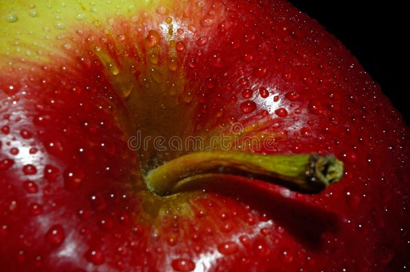 Close-Up of Wet Apple Against Black Background Stock Image - Image of ...
