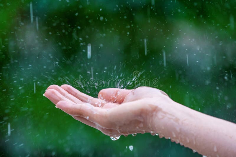 Close-up of Wet Female Hands in Rain Stock Image - Image of flowing ...
