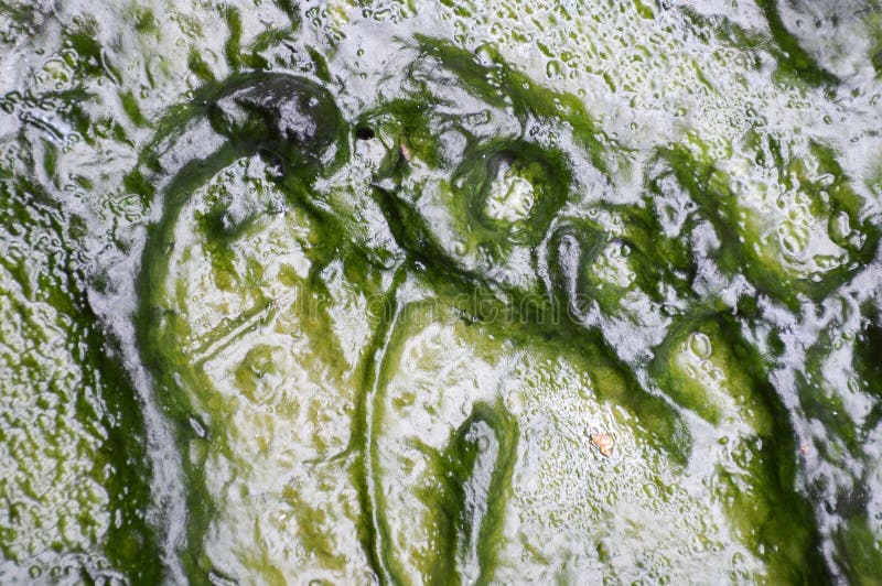 Wet muddy texture stock image. Image of soil, natural - 100619081