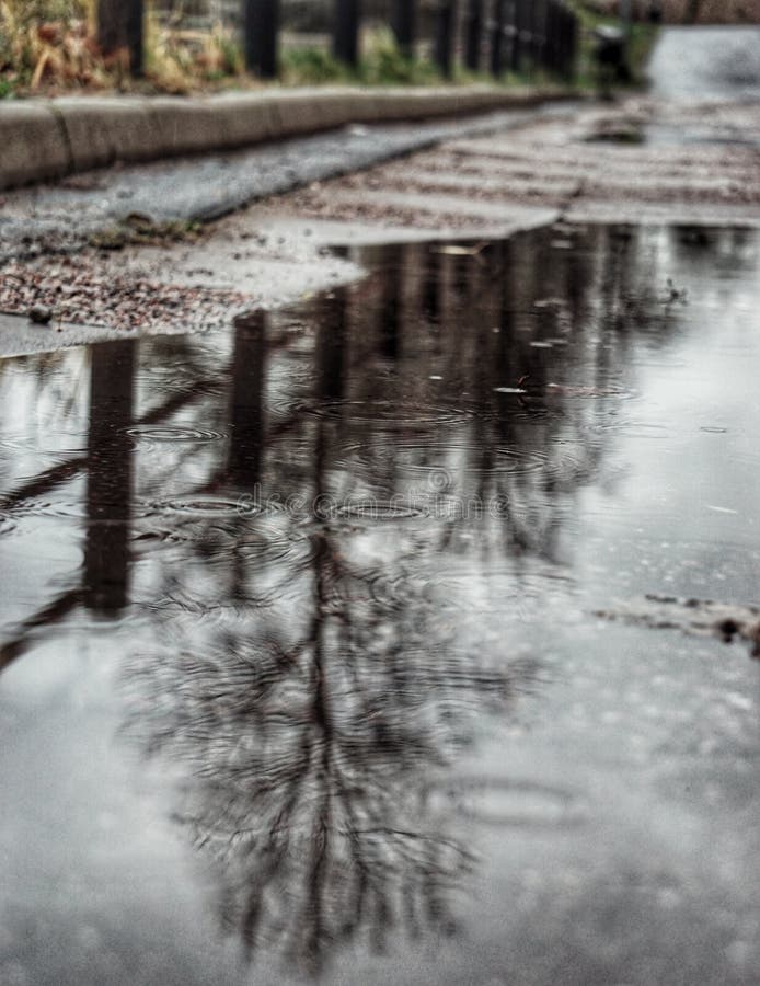 Close-up of wet puddle stock photo. Image of photograph - 254113832