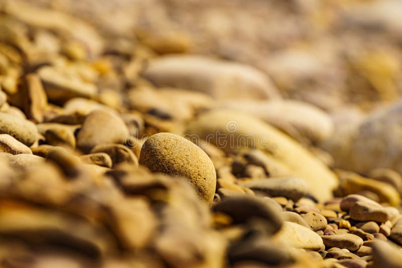 Close Up Wet Stone Pebble on Beach Stock Image - Image of seashore ...
