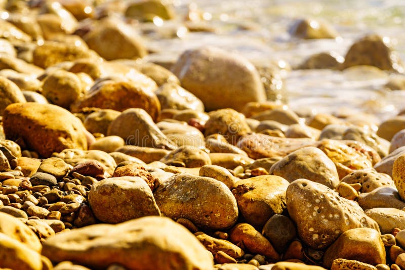 Close Up Wet Stone Pebble on Beach Stock Image - Image of close, water ...