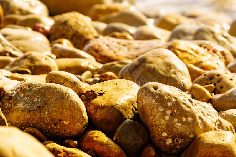Close Up Wet Stone Pebble on Beach Stock Photo - Image of stone, pebble ...