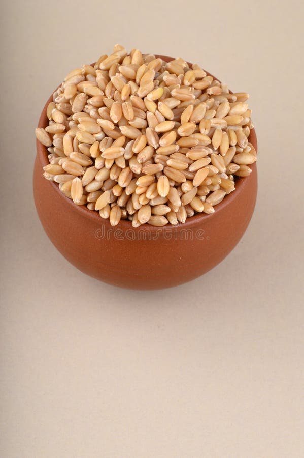 Wheat grains in clay pot stock photo. Image of cultivated - 106552040