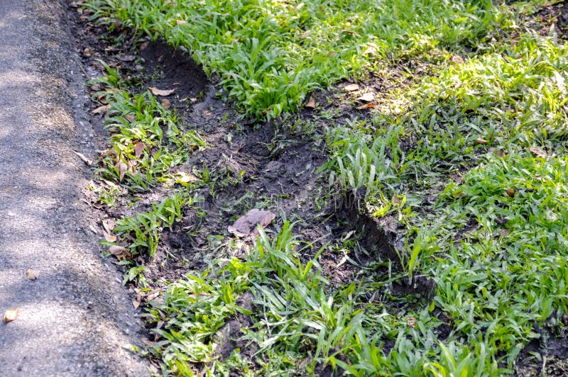 Wheel Track on the Ground in Nature Garden Stock Image - Image of soil ...