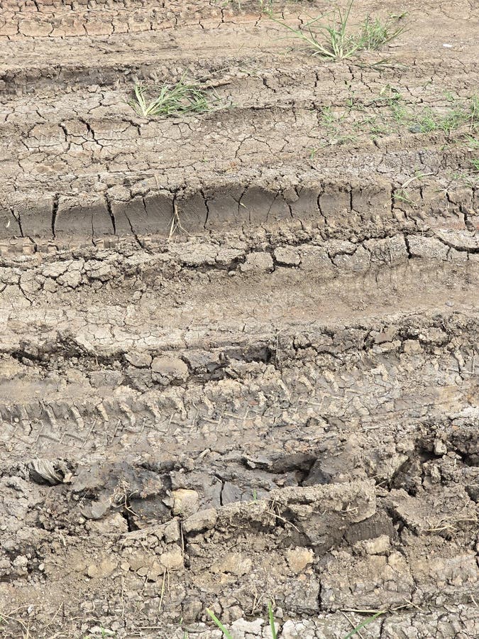 Wheel track on the ground stock photo. Image of wheel - 350239152