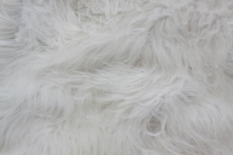 Close Up of White Fur Texture. White Wool Carpet. Stock Image - Image ...