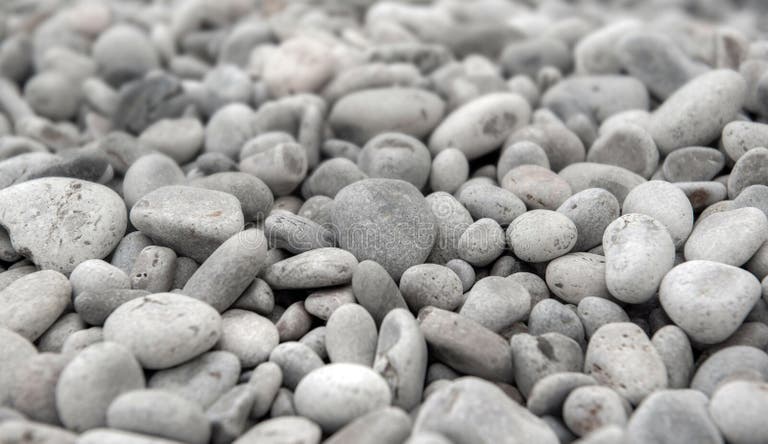 Close Up on White and Gray Pebbles on a Beach Stock Image - Image of ...