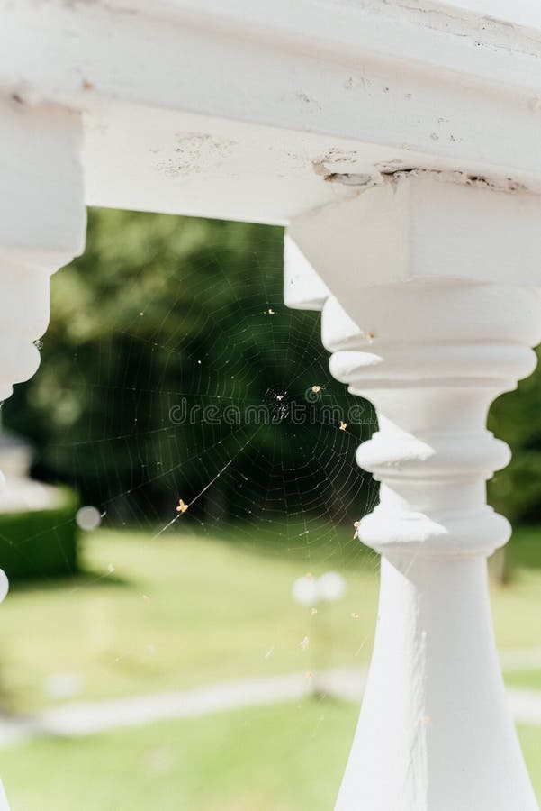 Close Up of a White Railing with a Spider Web Hanging from it Stock ...