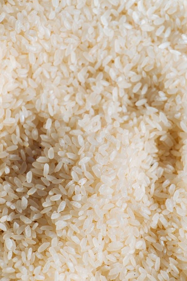 Close-up of White Raw Rice on Display Stock Photo - Image of background ...