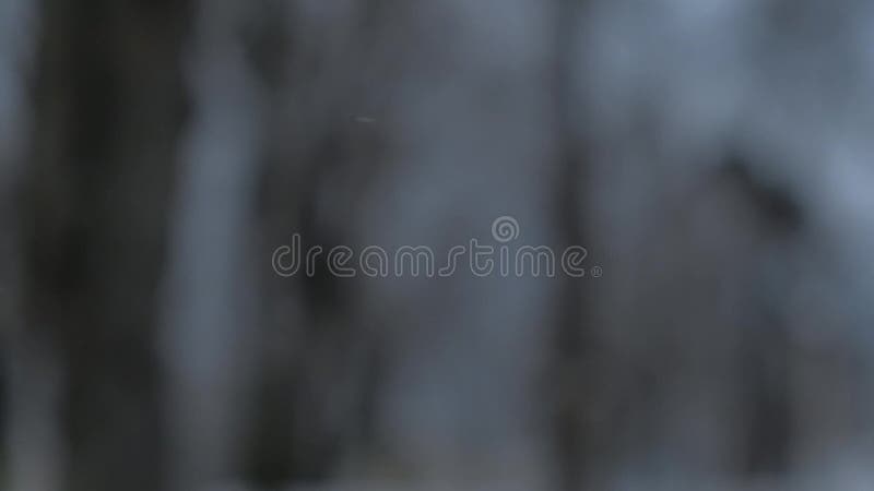 Close-up of Snow Flakes Flying into Camera with Blurred Blue Sky in ...