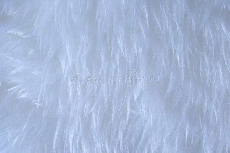 Close Up White Wool on the Table Stock Image - Image of fiber, white ...