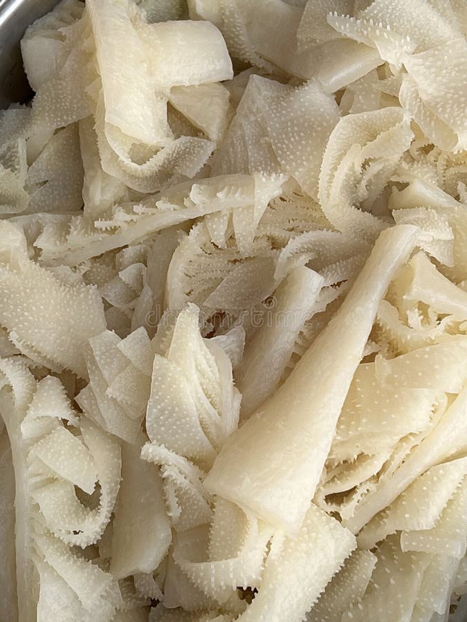 Whiten Ox Tripe in Supermarket Stock Image - Image of digestion, beef ...