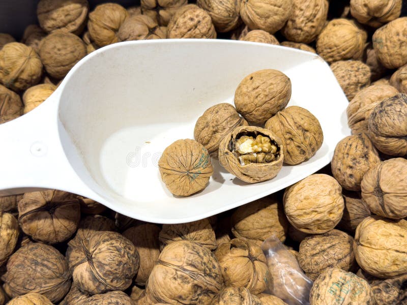 Close-up of Whole and Cracked Walnuts in White Scoop on Walnut Pile ...