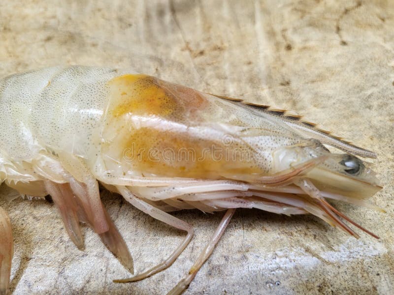Close-up of a Whole Raw Shrimp Head Stock Photo - Image of diet, crabs ...