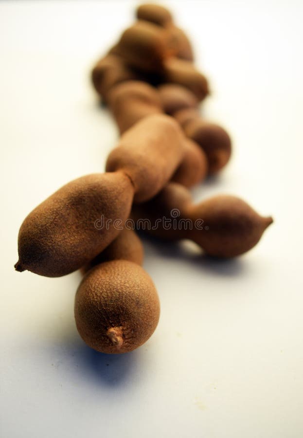Close Up on Whole Tamarind Pods Stock Photo - Image of white ...