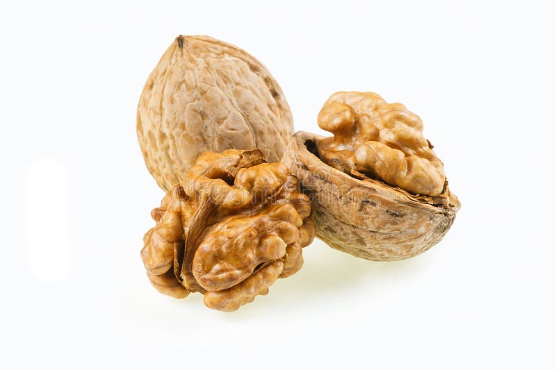 Close Up Whole Walnut Kernel with Shell on White Background. Walnuts ...