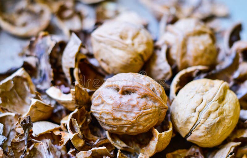 Close Up of Whole Walnuts and Broken Shells Stock Photo - Image of food ...