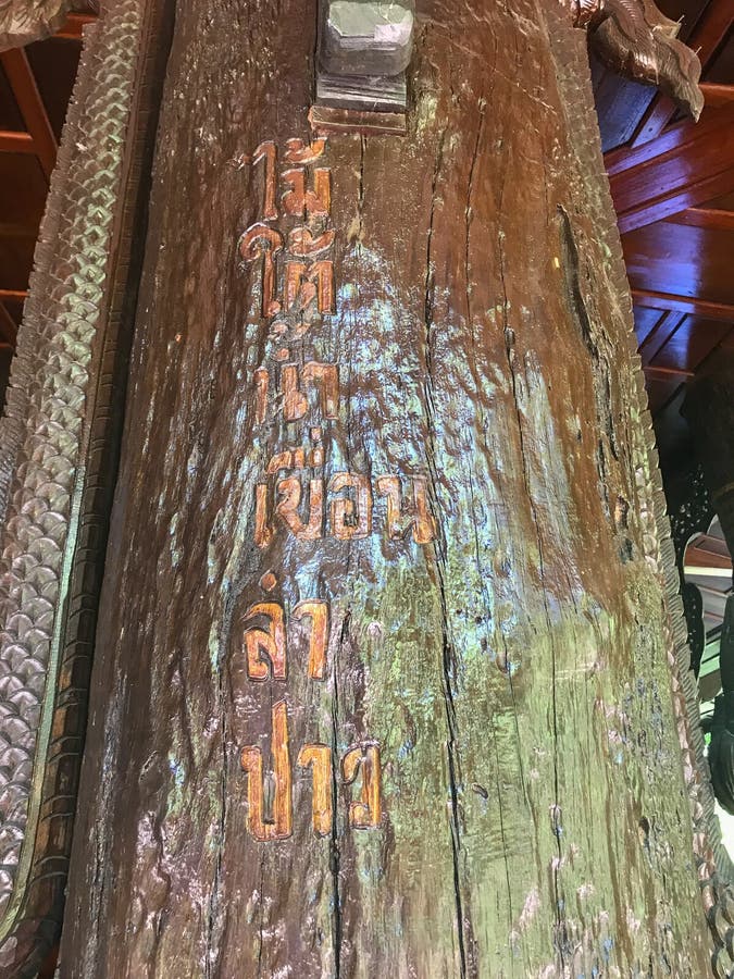 Ceiling with Wood Paneling and Windows, Large Metal Columns in a Modern ...