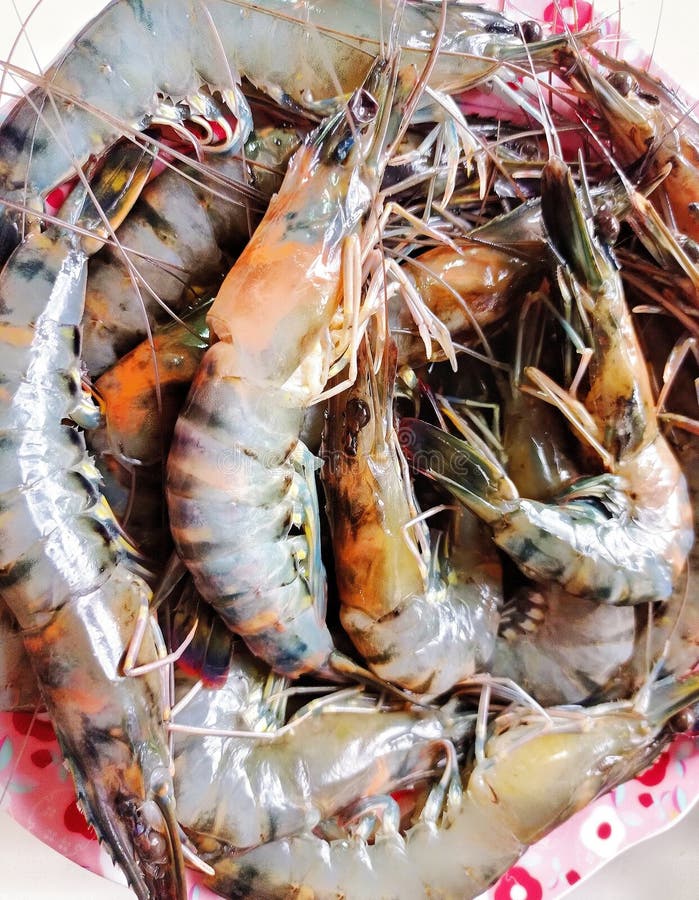 Close Up of the Wild Prawns on the Flower Shaped Plate Stock Photo ...