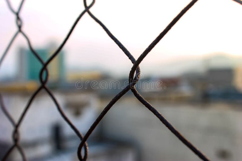 Close-up of Wire Netting for Building Fences Stock Image - Image of ...