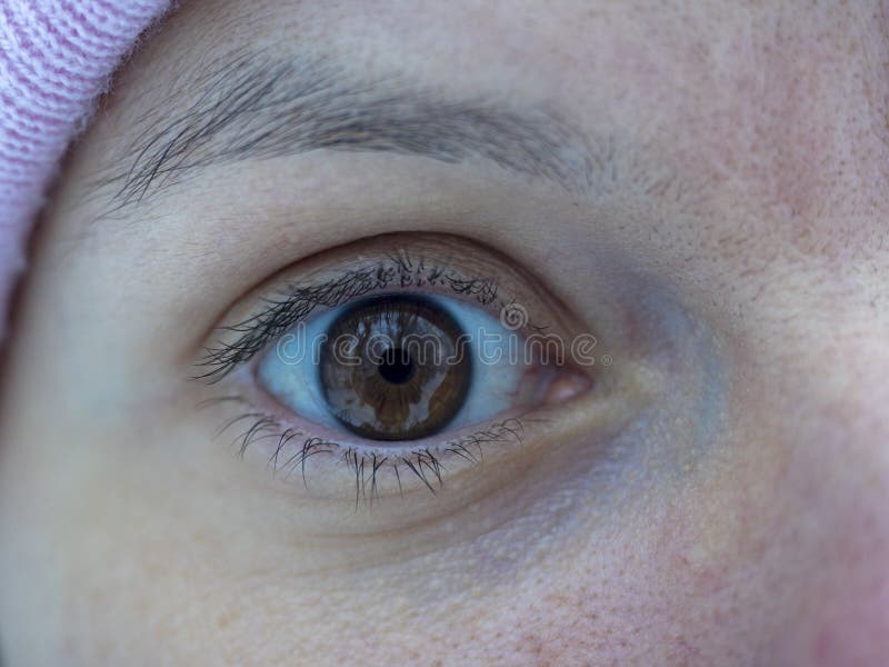 Close Up of a Woman`s Eyes Brown Looking Directly into the Camera Stock ...