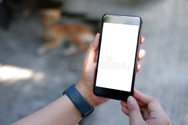 Close Up Women Hands Using Smart Phone Technology and Phone Technology ...