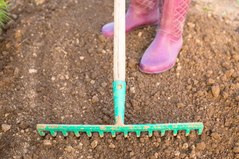Close Up Women with Rake at Spring Top View Stock Photo - Image of ...